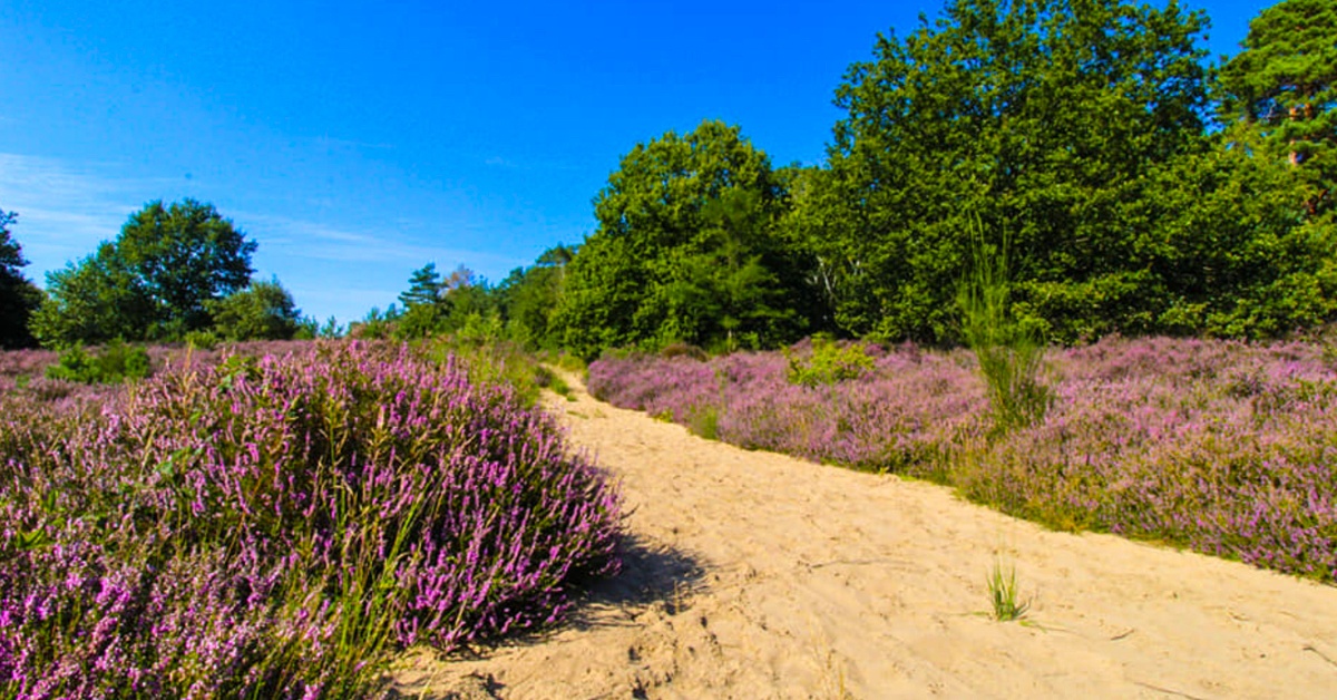 Wahner Heide Parkplatz