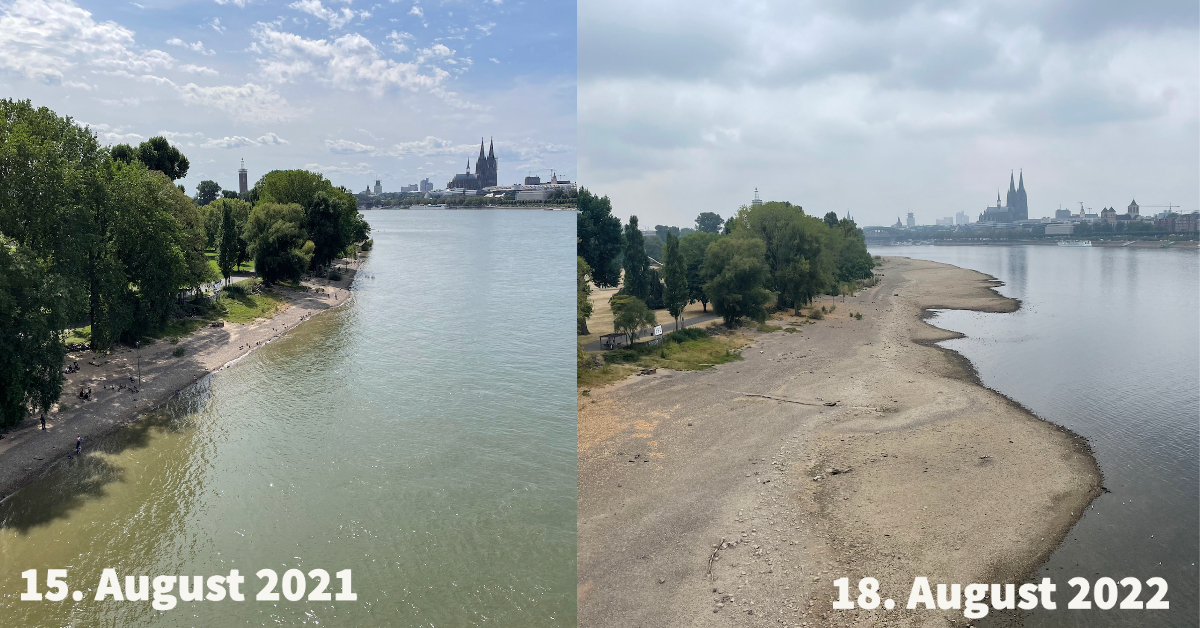 So sieht der Rhein mit Hoch- & Niedrigwasser aus – 6 Fotos im Vergleich