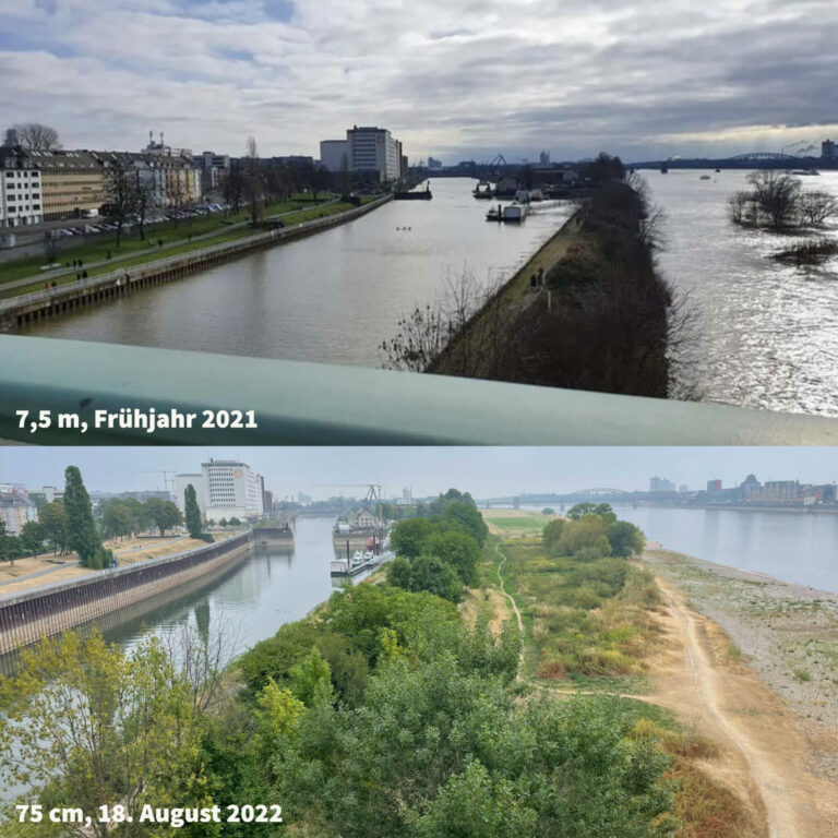 So sieht der Rhein mit Hoch- & Niedrigwasser aus – 6 Fotos im Vergleich