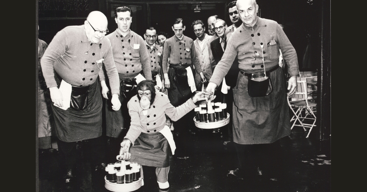 Mythos Petermann: Als ein Affe aus dem Kölner Zoo ausbrach